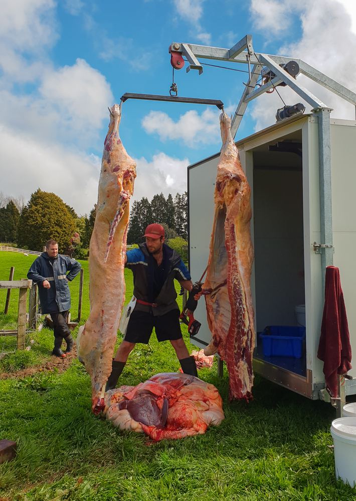 Our Very First Homekill | Back to the Land