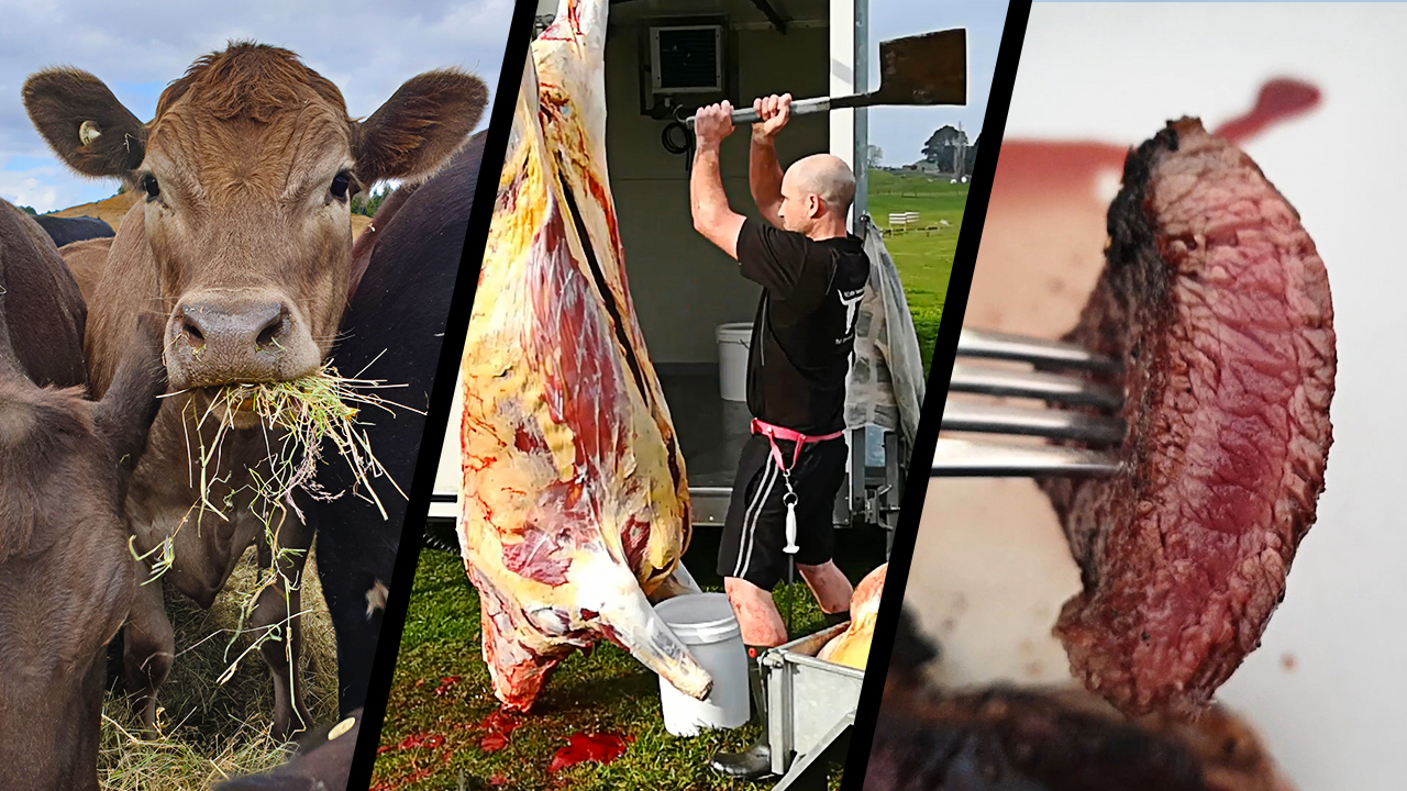 From Paddock to Plate: Humane Homekill | Back to the Land
